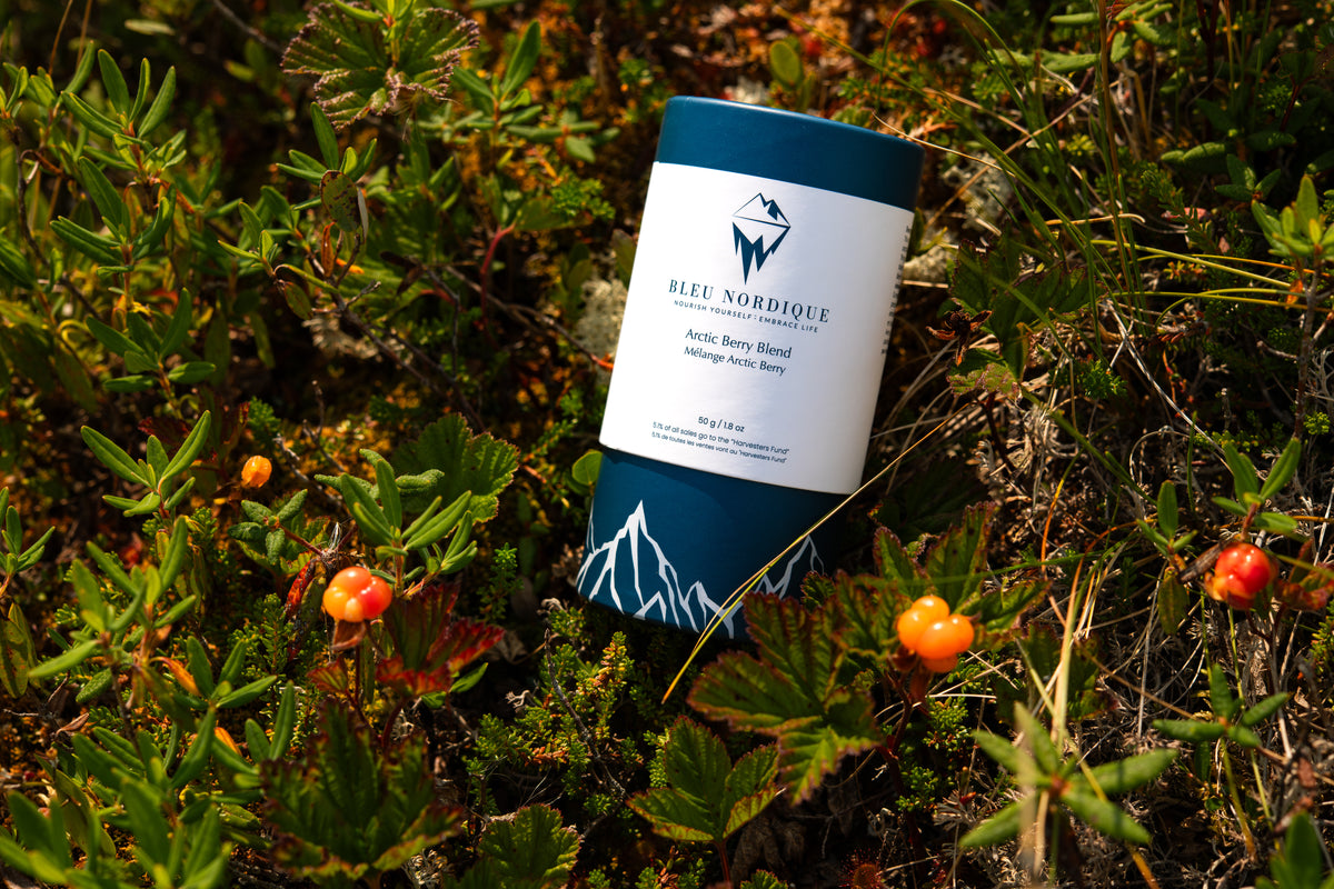 Arctic Berry Blend Tea – www.bleunordique.com